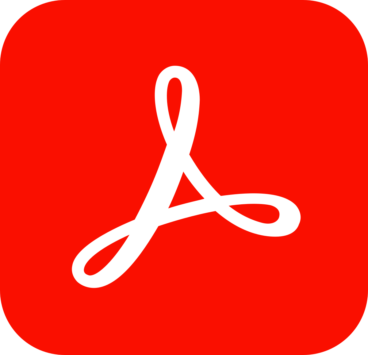 ¿Qué es Adobe Acrobat Reader DC? - Colmena en la nube